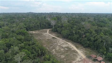 Em 30 anos Brasil perdeu 71 milhões de hectares de vegetação diz