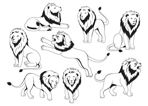Iconos de león heráldico plano con depredador monocromático en
