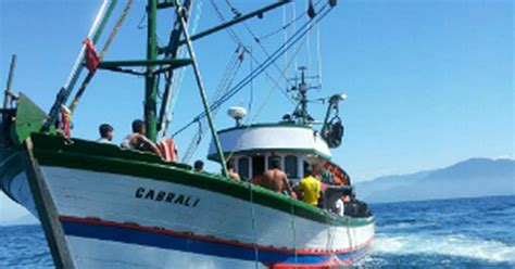 G1 Polícia Ambiental apreende cinco toneladas de peixe de pesca