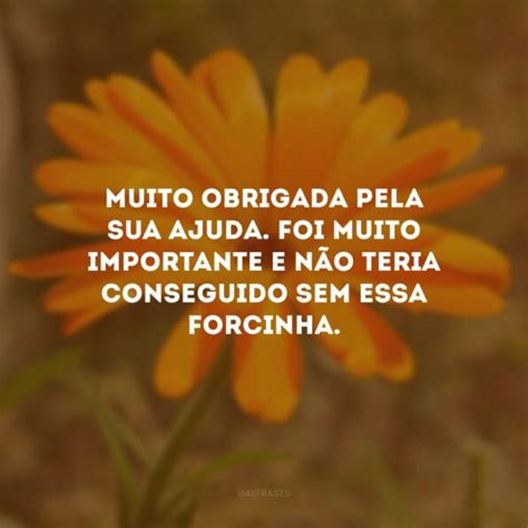 50 frases de agradecimento pela ajuda para demonstrar toda sua gratidão