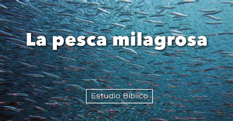 Explorando el capítulo 2 del Éxodo un estudio bíblico detallado