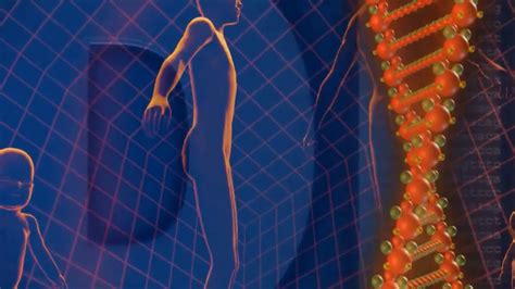 528 Hz Whole Body Regeneration Full Body Healing Physical