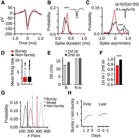 interspike intervals reveal functionally distinct cell populations in the medial entorhinal