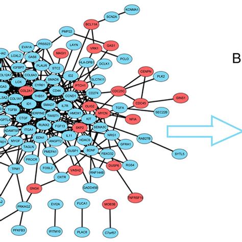 Ppi Network Analysis Of The Overlapping Degs A Ppi Network Was