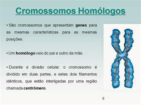 Bio Prof Viviane Aula Cromossomos
