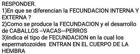 SOLVED Necesito Para Hoy Porfa RESPONDER 1 En Que Se Diferencian La