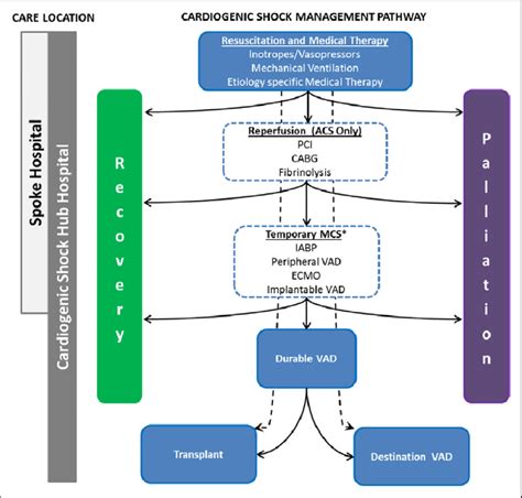 Potential Cardiogenic Shock Care Pathway Care Location And Care