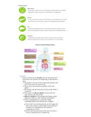 Digestive System Diagram Accessory Organs Salivary Glands