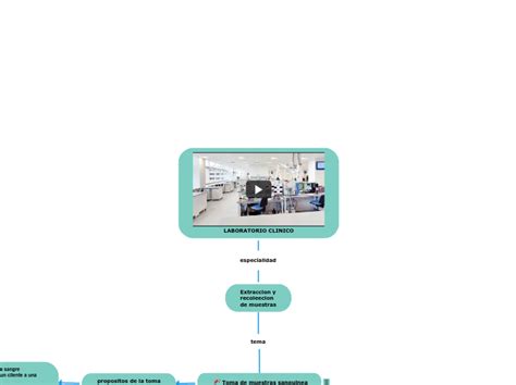 LABORATORIO CLINICO Mind Map