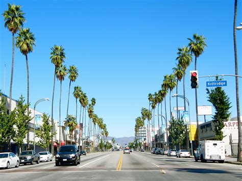 Los Angeles Street Trees Los Angeles Love Affair Tourist Places