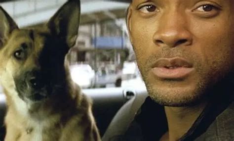 Sequência de Eu Sou a Lenda vai acontecer Will Smith e Michael B