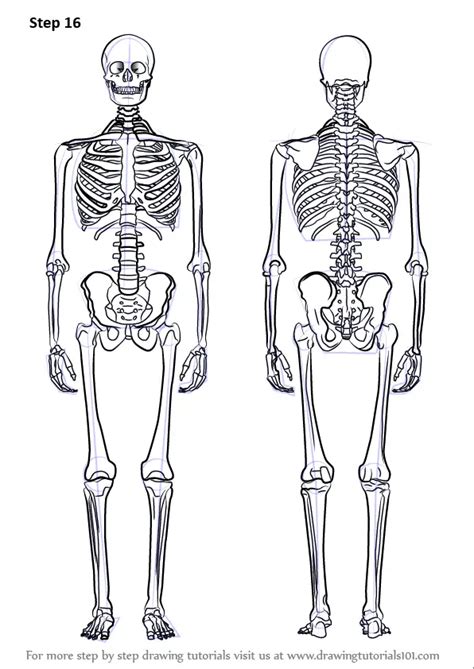 Learn How To Draw A Skeleton Everyday Objects Step By Step Drawing