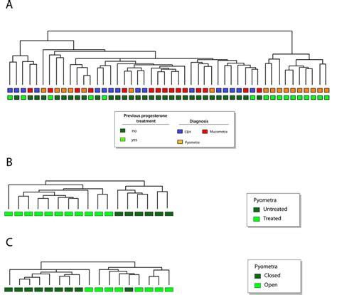 supervised hierarchical clustering analysis of global gene expression download scientific