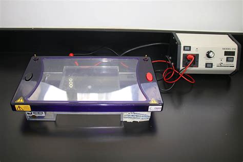 Electroforesis Escuela de Ciencias Básicas Facultad de Salud