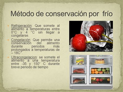 Tecnicas De Conservacion De Alimentos Refrigeracion Dinami