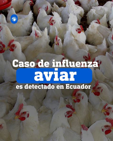 Diario El Mercurio on Twitter ATENCIÓN I Ecuador activó un cerco