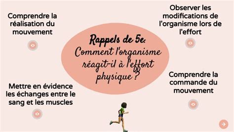 L organisme s adapte à l effort révision de 5e