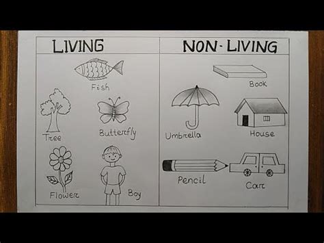 Living Things And Non Living Things Drawing Easy How To Draw Living