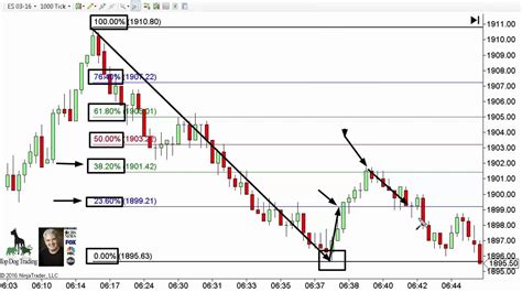 Day Trading Rules Secret To Using Fibonacci Levels YouTube
