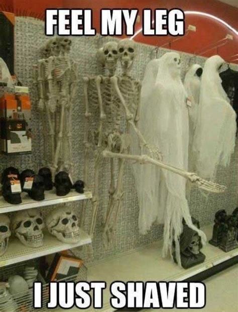 35 Funny Halloween Memes That Are Wicked Hilarious Artofit