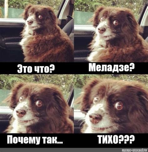 Сomics meme Меладзе Это что ТИХО Почему так Comics Meme