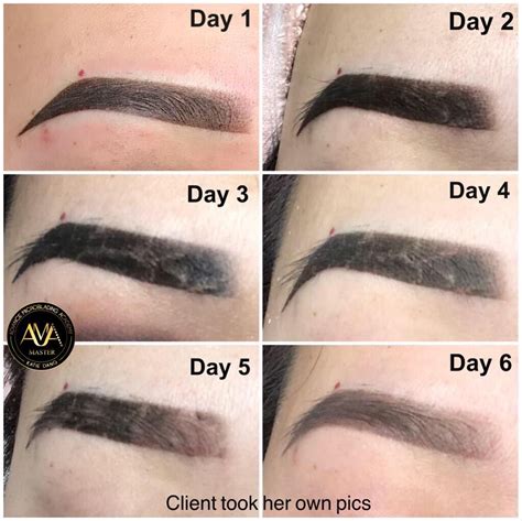 Best Ombre Brows Healing Process In 2023 Check This Guide