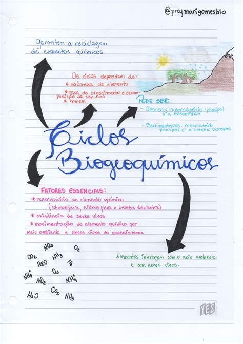 Mapa Mental Ciclos Biogeoquimicos SOLOLEARN