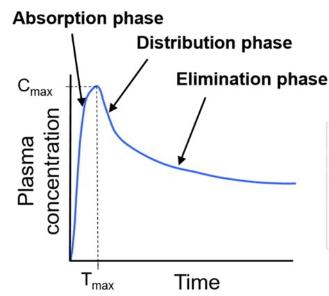 Principle Of Pharmacology Flashcards Quizlet