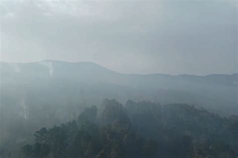 El incendio de Tenerife tiene todo el perímetro consolidado