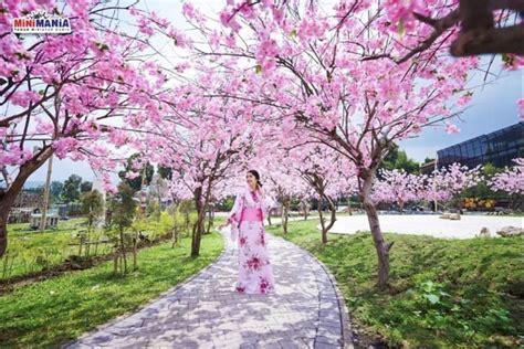 Ini Dia 3 Tempat Wisata Di Bandung Yang Lagi Hits Dan Terbaru Cocok