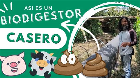 Así es nuestro BIODIGESTOR CASERO aprende CÓMO FUNCIONA y qué
