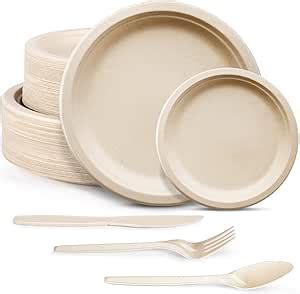 Amazon 250pcs Compostable Paper Plates Set Extra Long Utensils