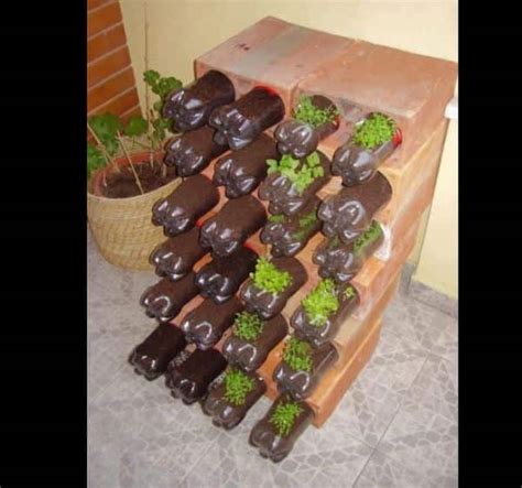 Horta Em Garrafa Pet F Cil De Fazer