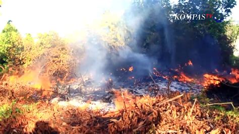 Diduga Faktor Cuaca Panas Dua Hektar Lahan Gambut Dan Perkebunan Warga