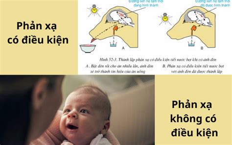 Ph N X Kh Ng I U Ki N L G V T I Sao N Quan Tr Ng Nh Thu C Fpt