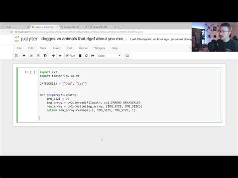 How To Use A Pre Trained Model In TensorFlow Reason Town