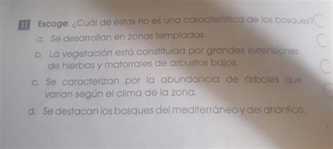 escoge cual de éstas no es una característica de los bosques Brainly lat
