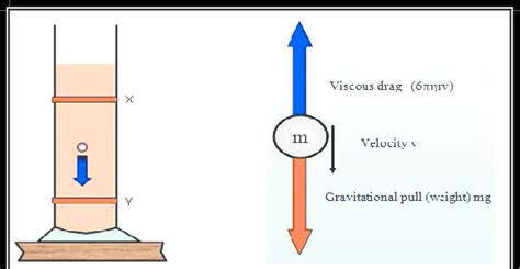 estimating viscosity method from stokes law a graph of v against r 2 download scientific