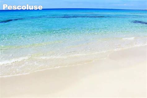 Dove Si Trovano Le Maldive Del Salento