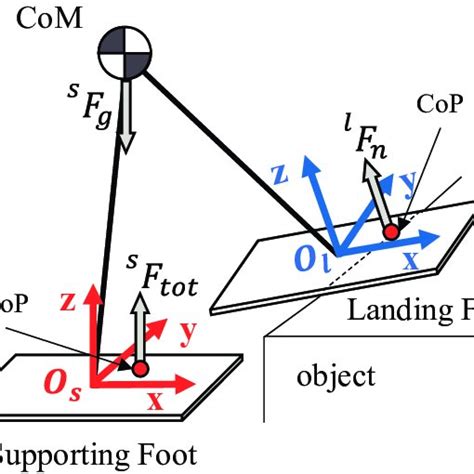 dynamics model of the biped robot for a static situation total download scientific diagram