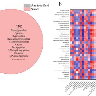 Heat Map Of Differential Metabolites Analyzed By The Hierarchical