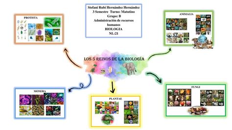 Los 5 reinos de la biología Bere H uDocz
