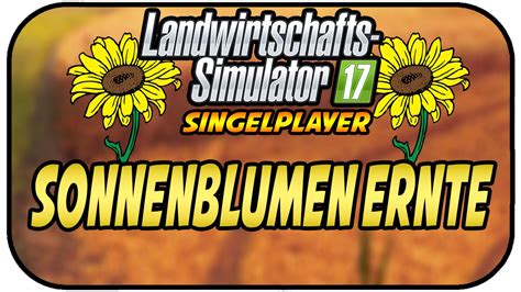 SONNENBLUMEN ERNTE 002 FARMING SIMULATOR 17 SINGLEPLAYER Let S Play