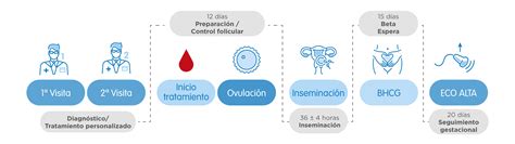 Mil Millones Edificio Muscular Inseminacion Artificial Proceso Completo