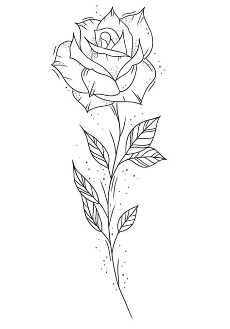 Pin By Dkula On Ipad Szkice Rose Tattoo Stencil Rose Drawing Tattoo Tattoo Stencil Outline