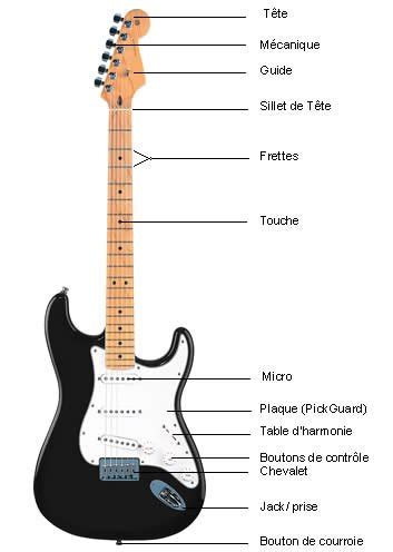 Anatomie de la guitare éléctrique Présentation de la guitare