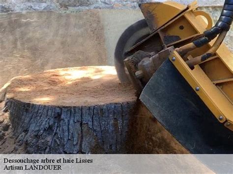 Dessouchage d arbre et haie à Lisses tél 01 85 53 78 73