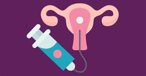 Fresh Vs Frozen Embryo Transfer In Depth Understanding