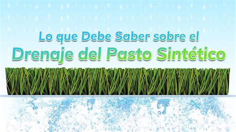 Lo que Debe Saber sobre el Drenaje del Pasto Sintético CCGrass