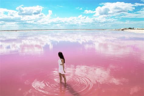 Las Coloradas The Magical Pink Lagoon In Yucatan Mexico